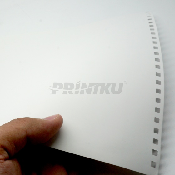 Roll Banner 85x200cm Albatros | Printku